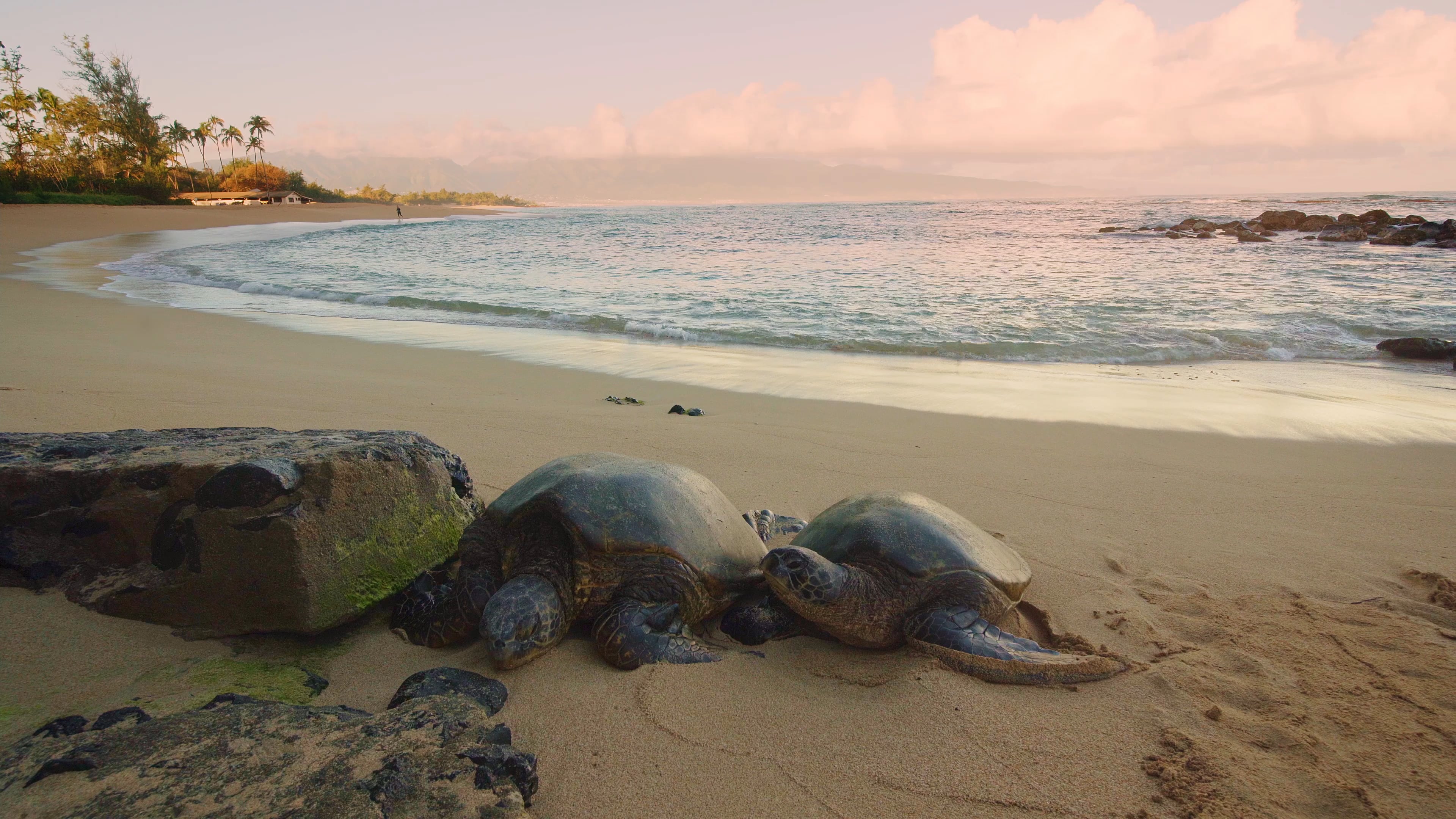 Maui, Hawaii Photo Tour on Vimeo