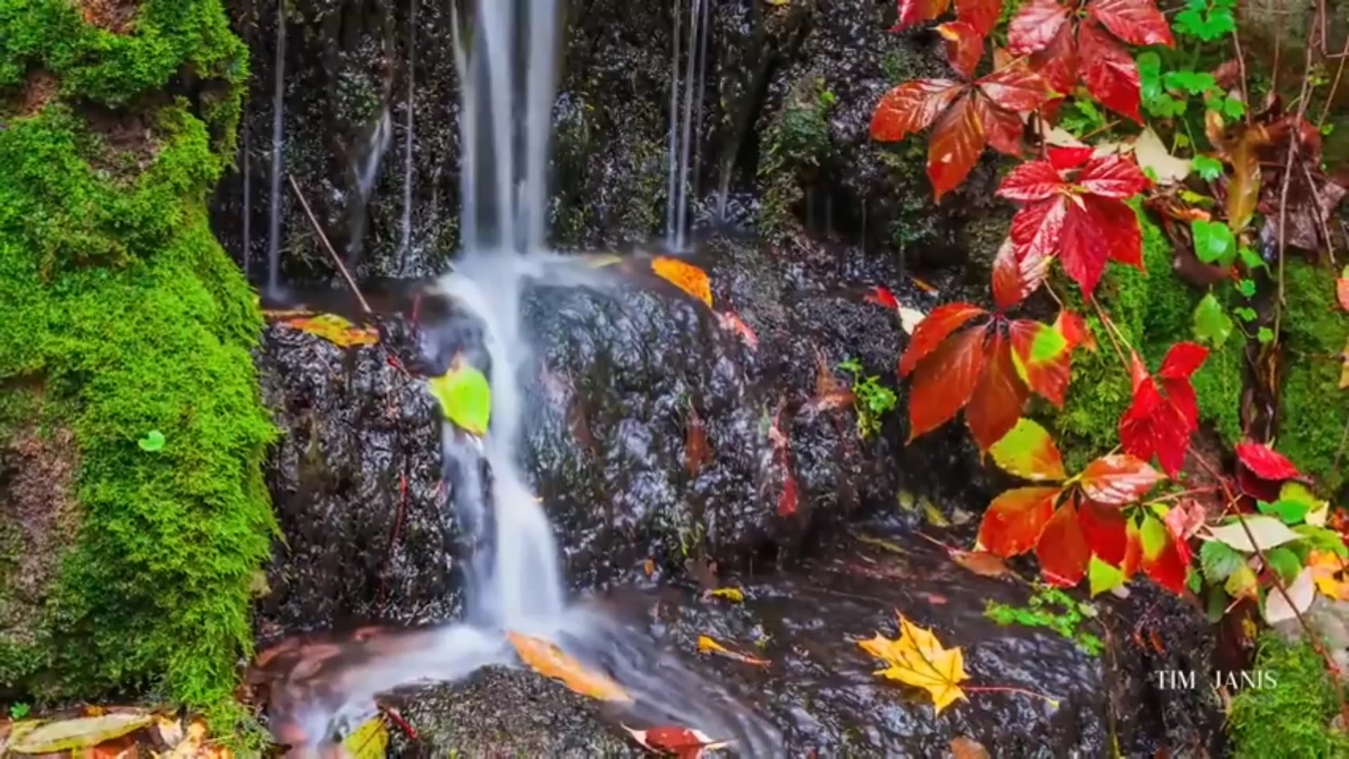 The Quiet Land of Erin Corrie Folk Trio.mp4 on Vimeo