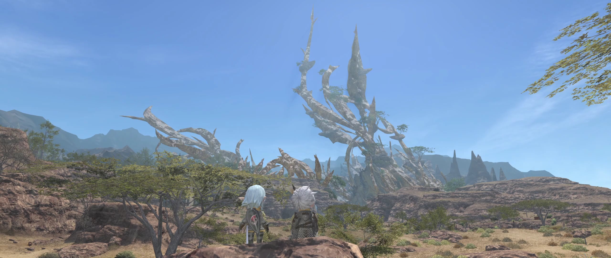 Camp_DryBone_35sec on Vimeo