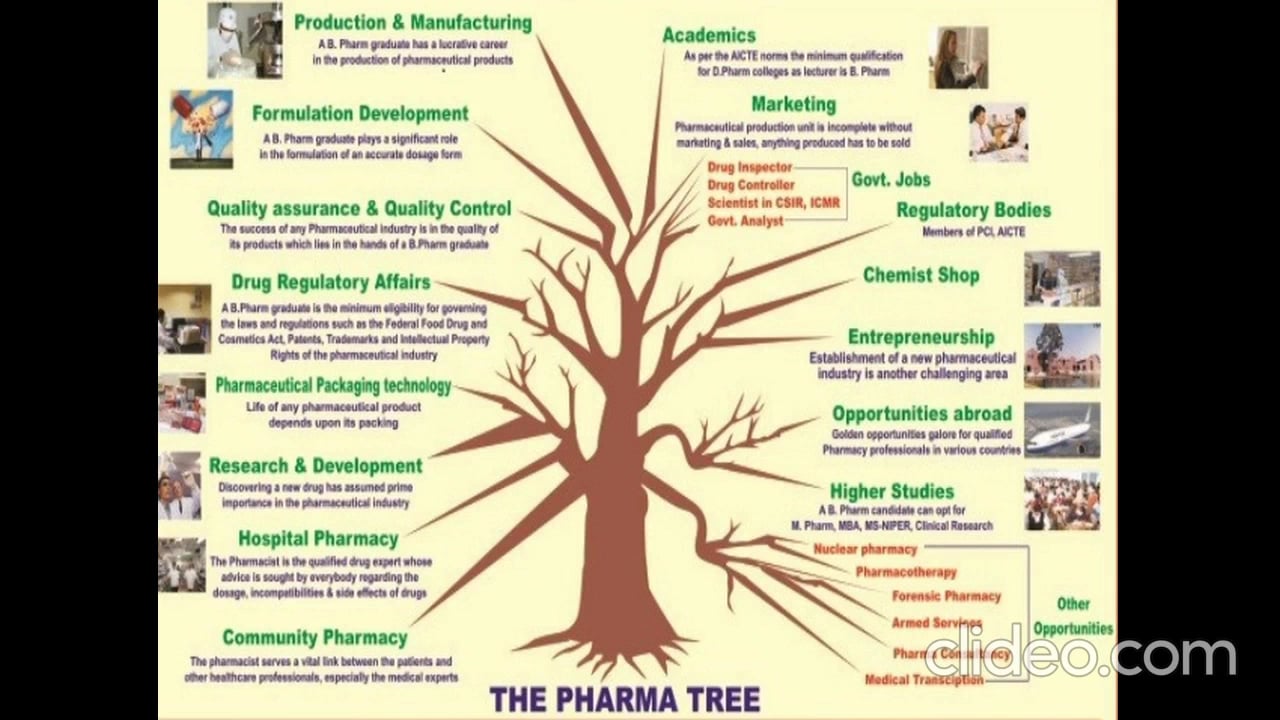 Pharma Balangir - Home