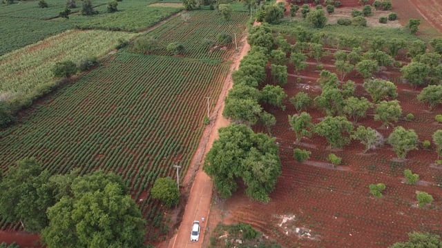 Road Dirt Farm Land - Free video on Pixabay