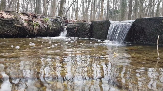 Waterfall River Brook - Free video on Pixabay