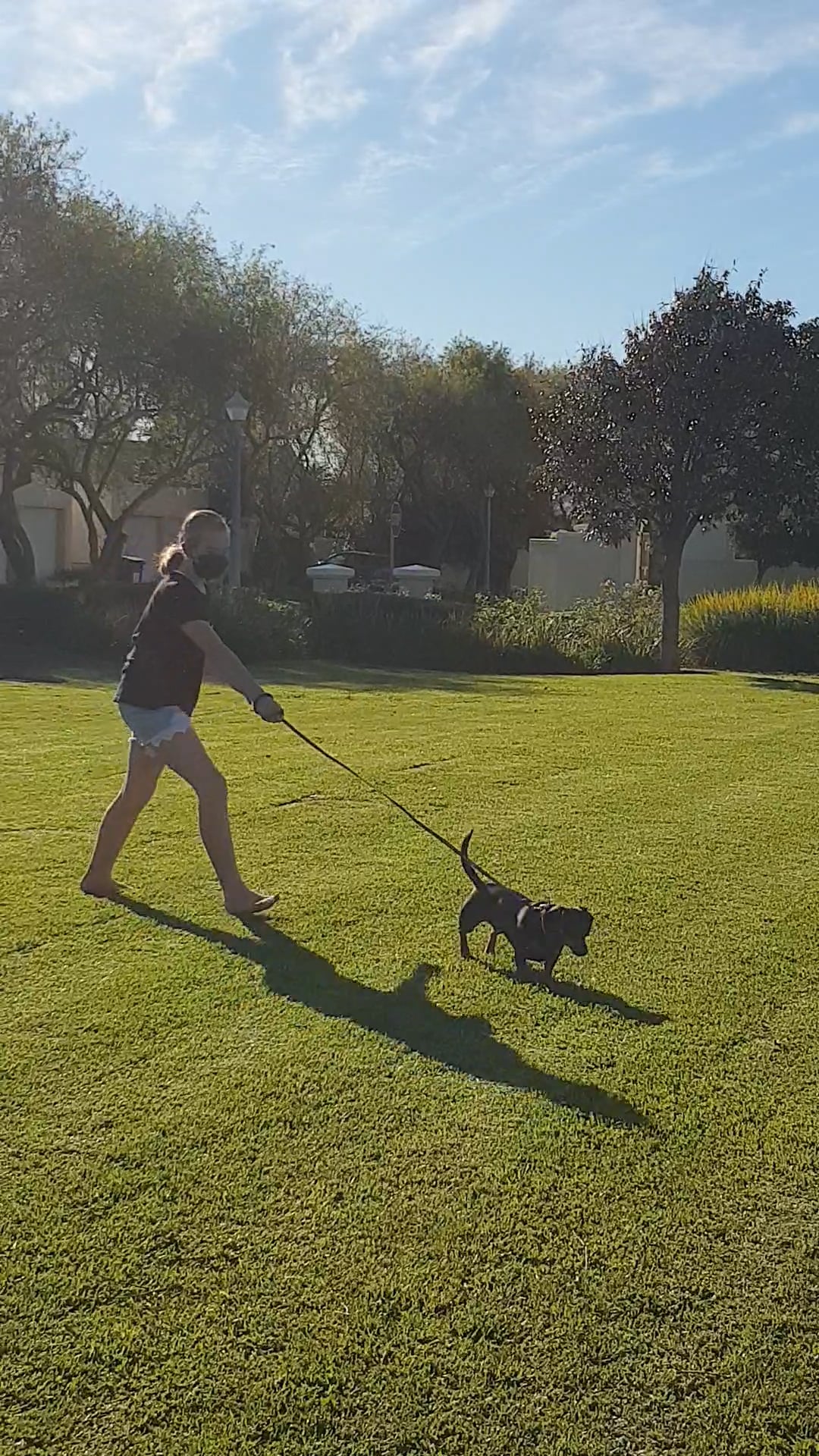 Dog walk on Vimeo