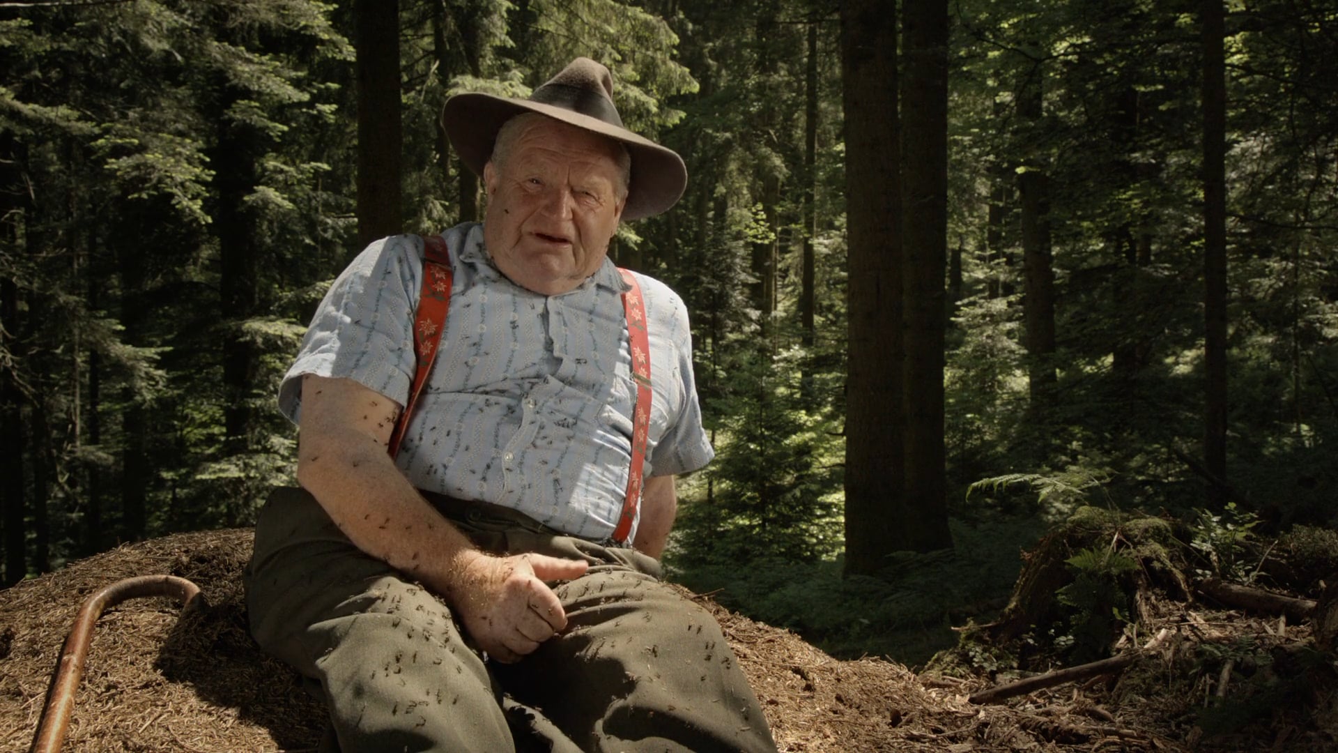 Wetterschmöcker Martin Horat I Winterprognose 1 für Schweiz Tourismus ...