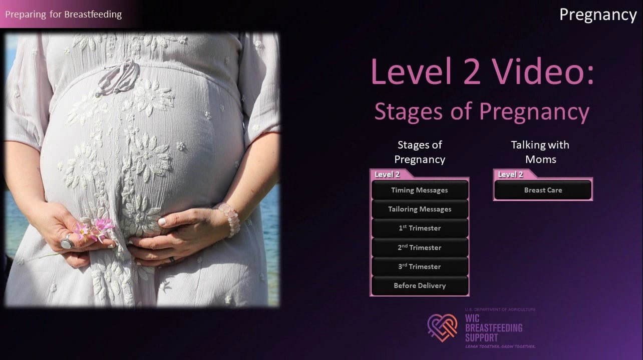WIC Level 2 A - 3-4-C-Level2-Pregnancy-StagesOfPregnancy on Vimeo