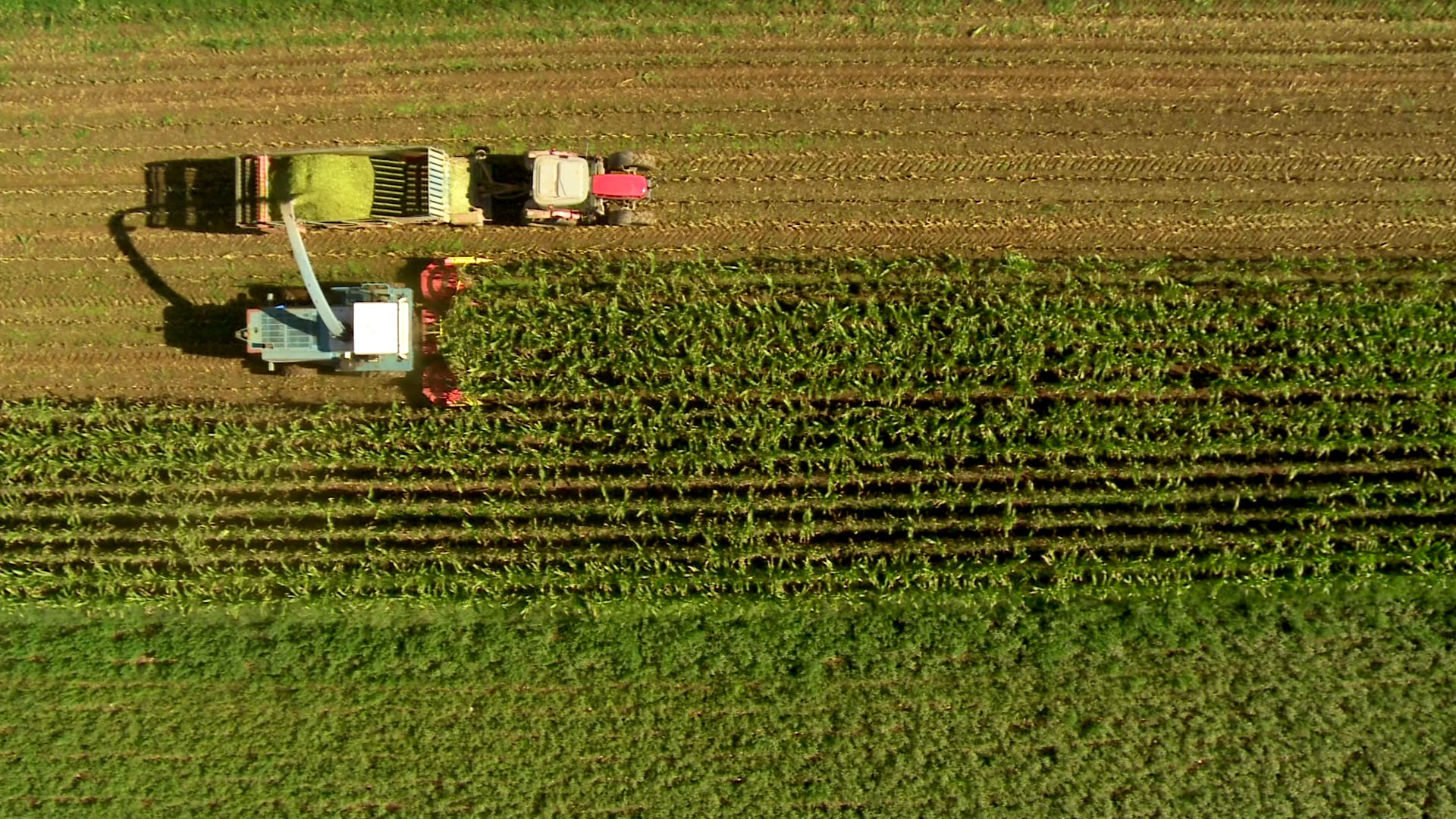 Royal Reesink on Vimeo