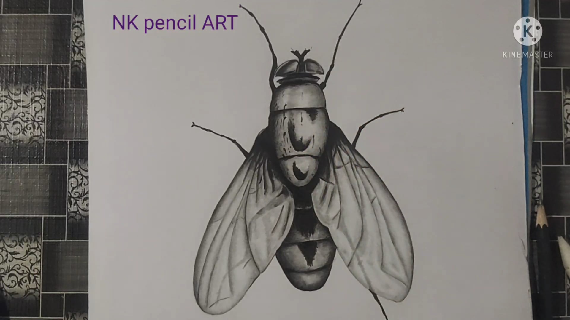 Realistic drawing on Vimeo