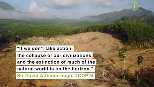 Land For Life: Organic, Regenerative Agroforestry for 100% Food ...