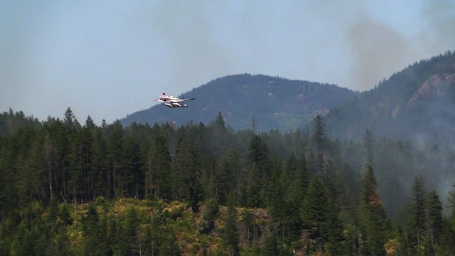 Airplane Wildfire Forest Free Stock Video - Pixabay