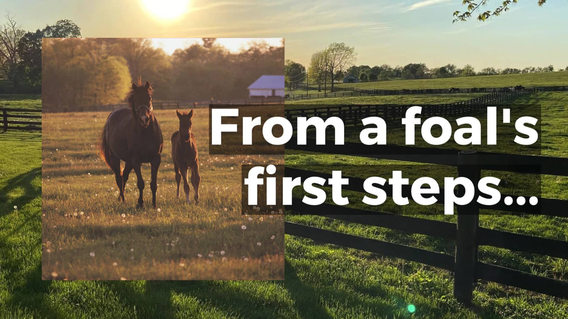 Hermitage Farm / Derby Museum Tour on Vimeo