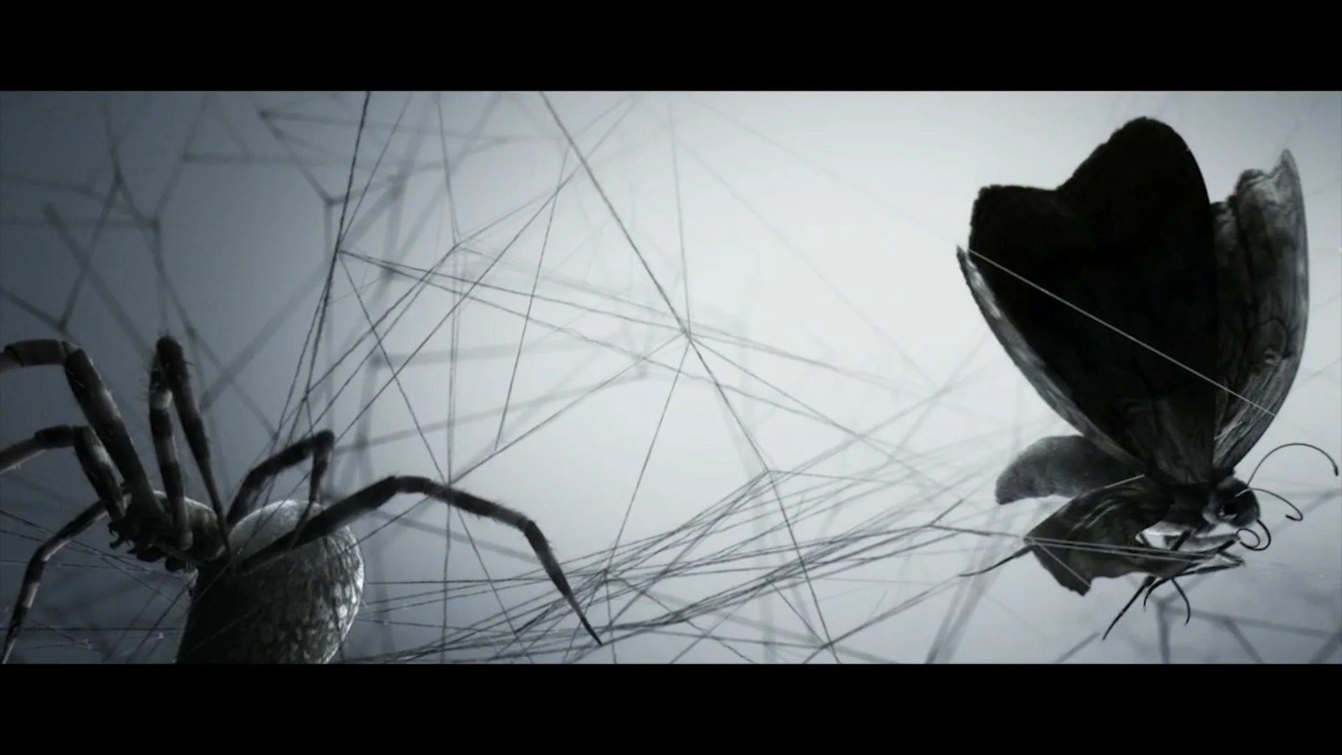 LOOM （Sound Design） on Vimeo