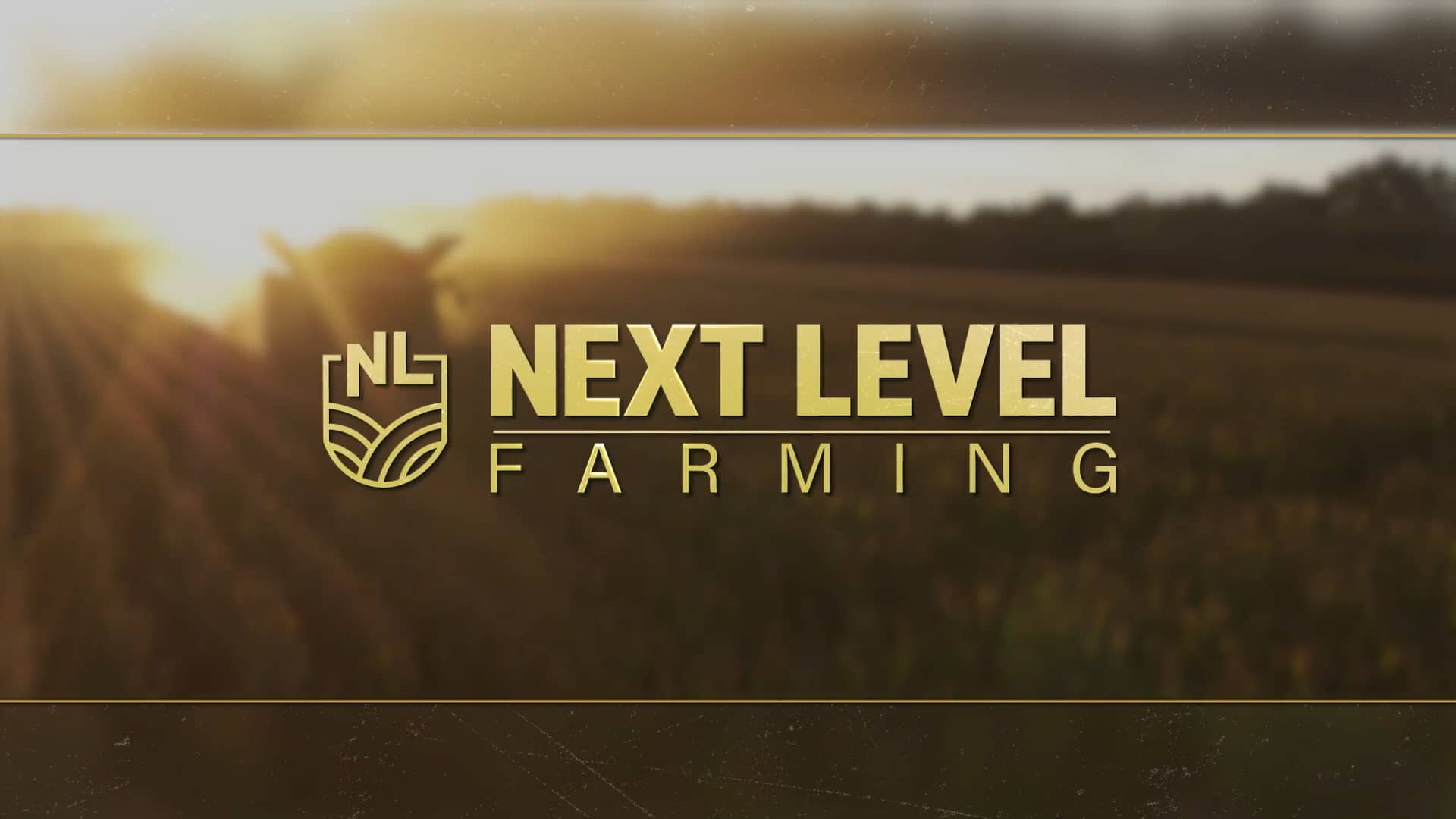 David Hula - Randy Dowdy - XPR2 Concaves High-Moisture Corn - Next ...