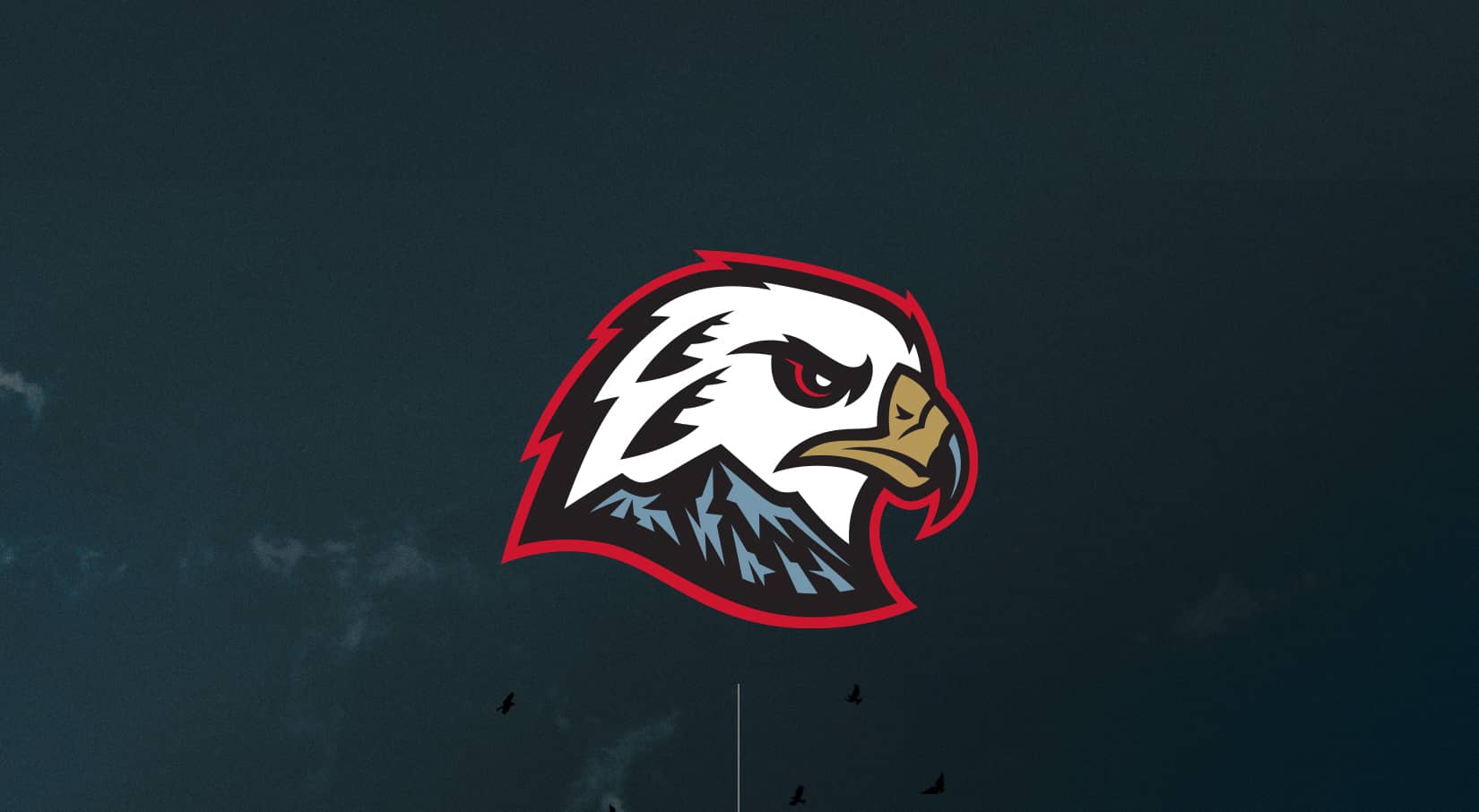 Portland Winterhawks Logo Reveal Video on Vimeo