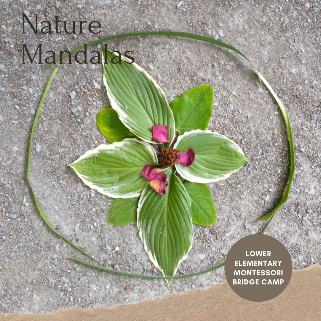 Nature Mandalas in Summer Montessori Bridge Camp 2021 on Vimeo