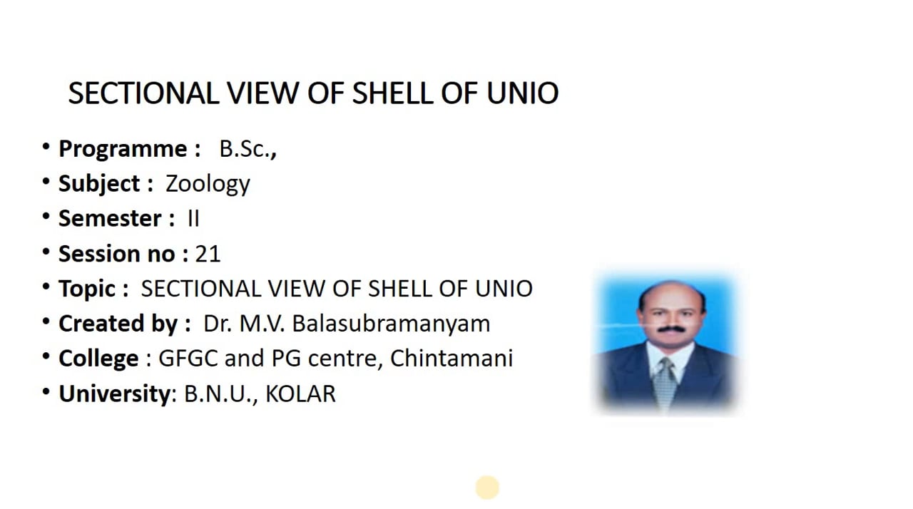 S21 Sectional view of shell of Unio.mp4 on Vimeo