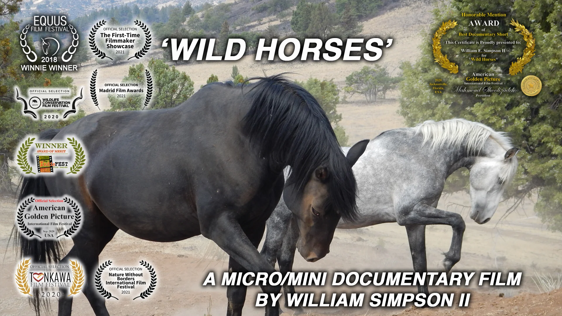 Wild Horses - Award-Winning Micro Documentary Film