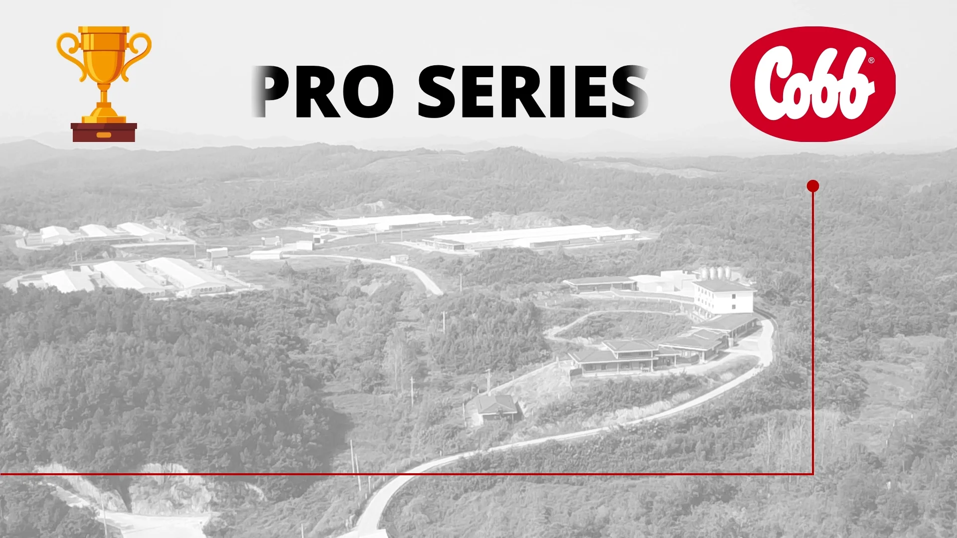 Mash VS Crumble VS Pellet