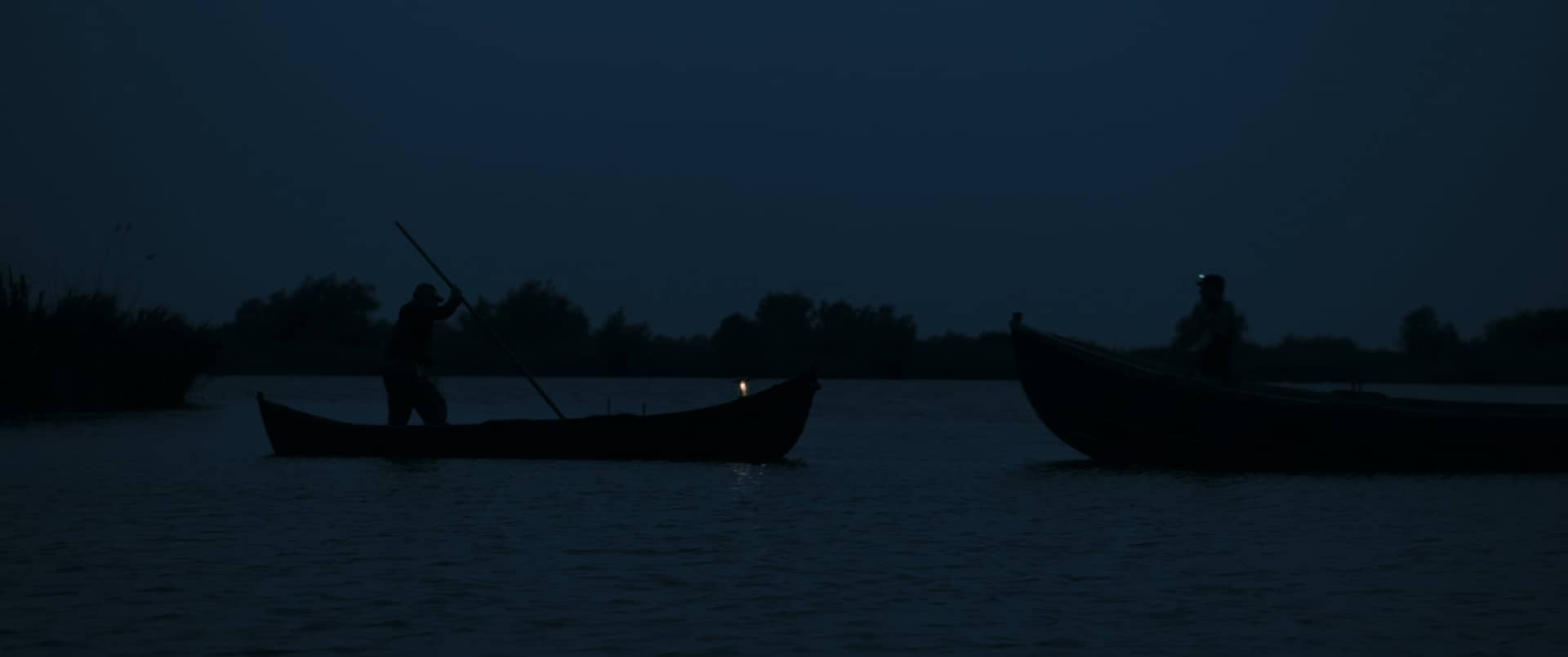 TRAILER Strajerii Deltei.mov on Vimeo