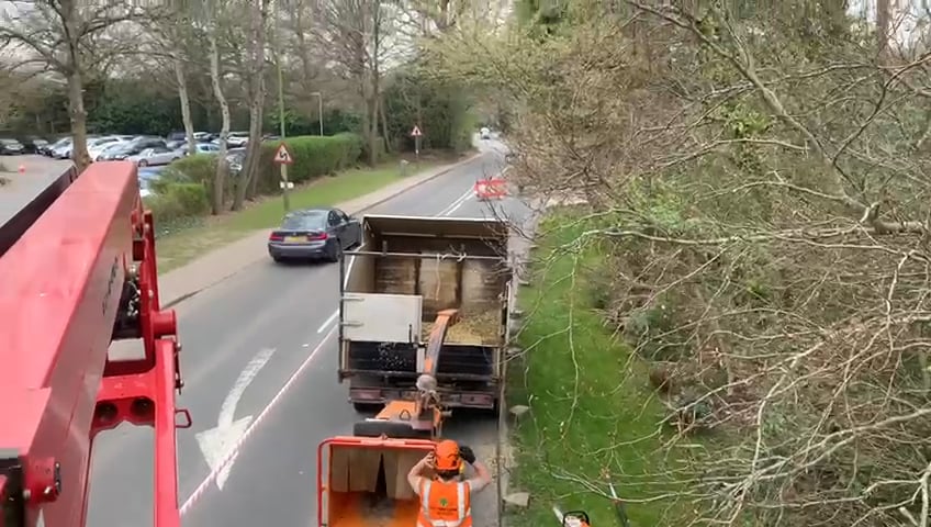 NP Tree Care - Tree Cutting on Vimeo