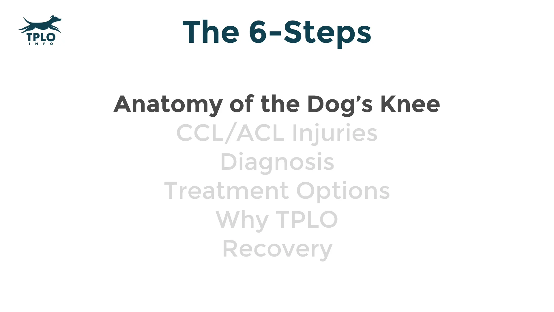 TPLO: Step 1 of the 6 Steps on Vimeo