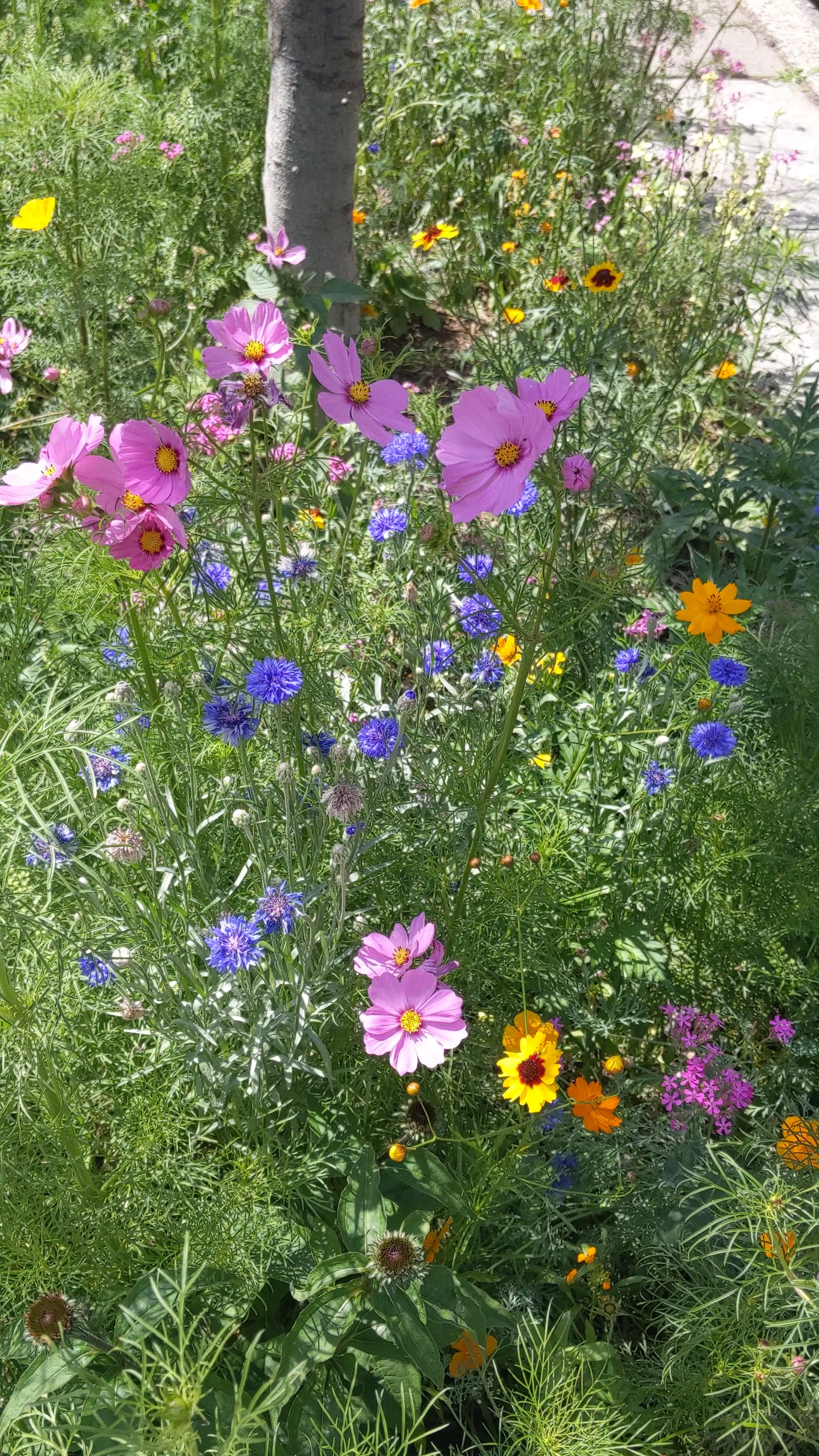 Flowers on Vimeo