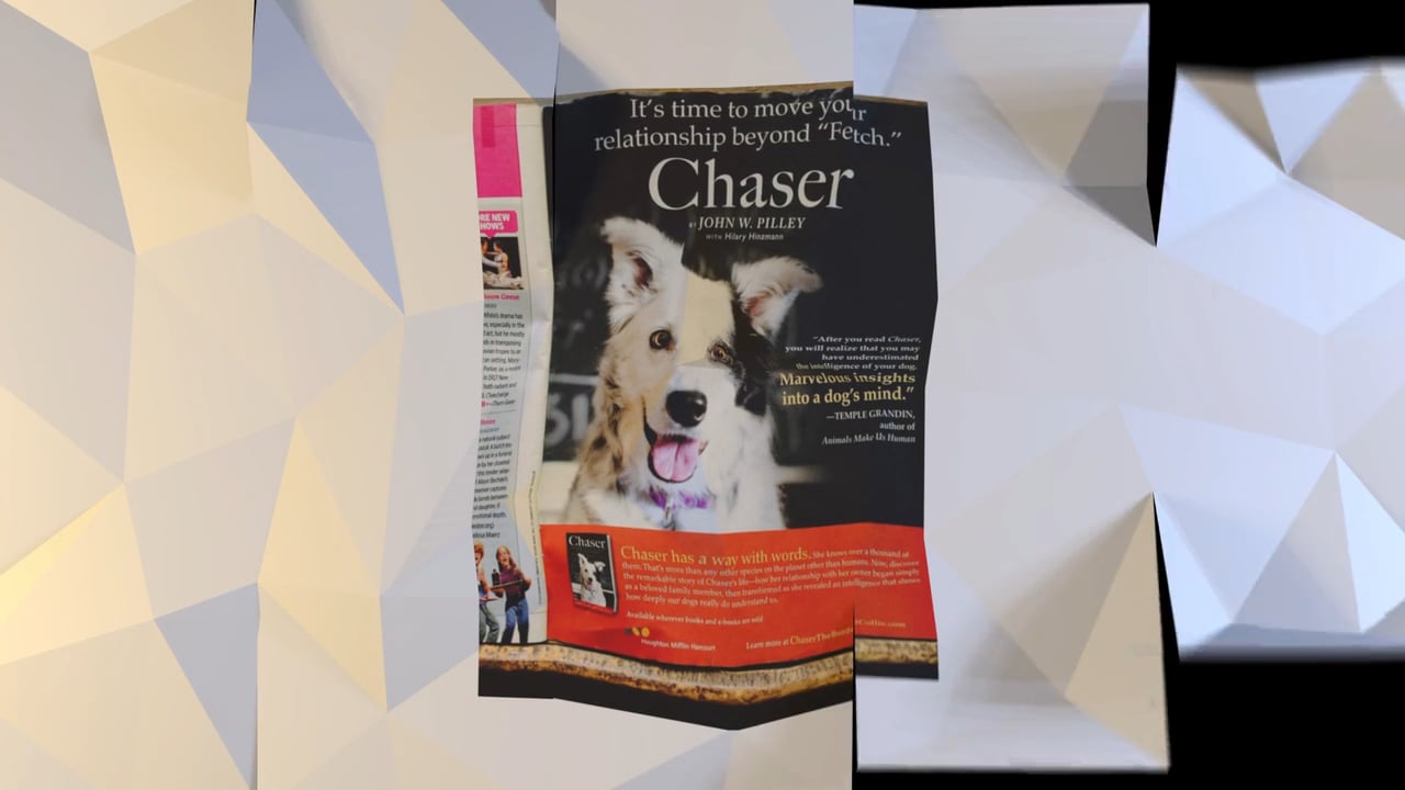 The Chaser Initiative - The Worlds Smartest Dog on Vimeo