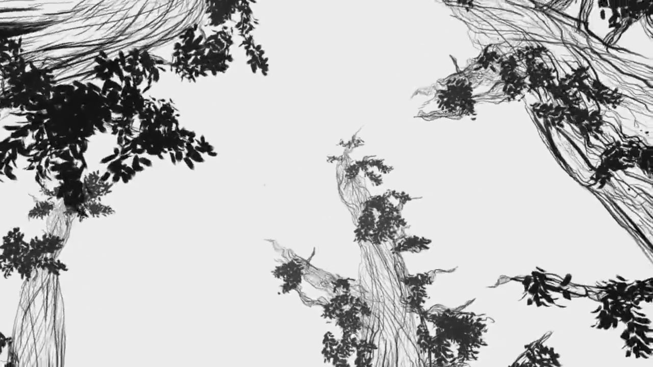 FOREST (2019) Teaser on Vimeo