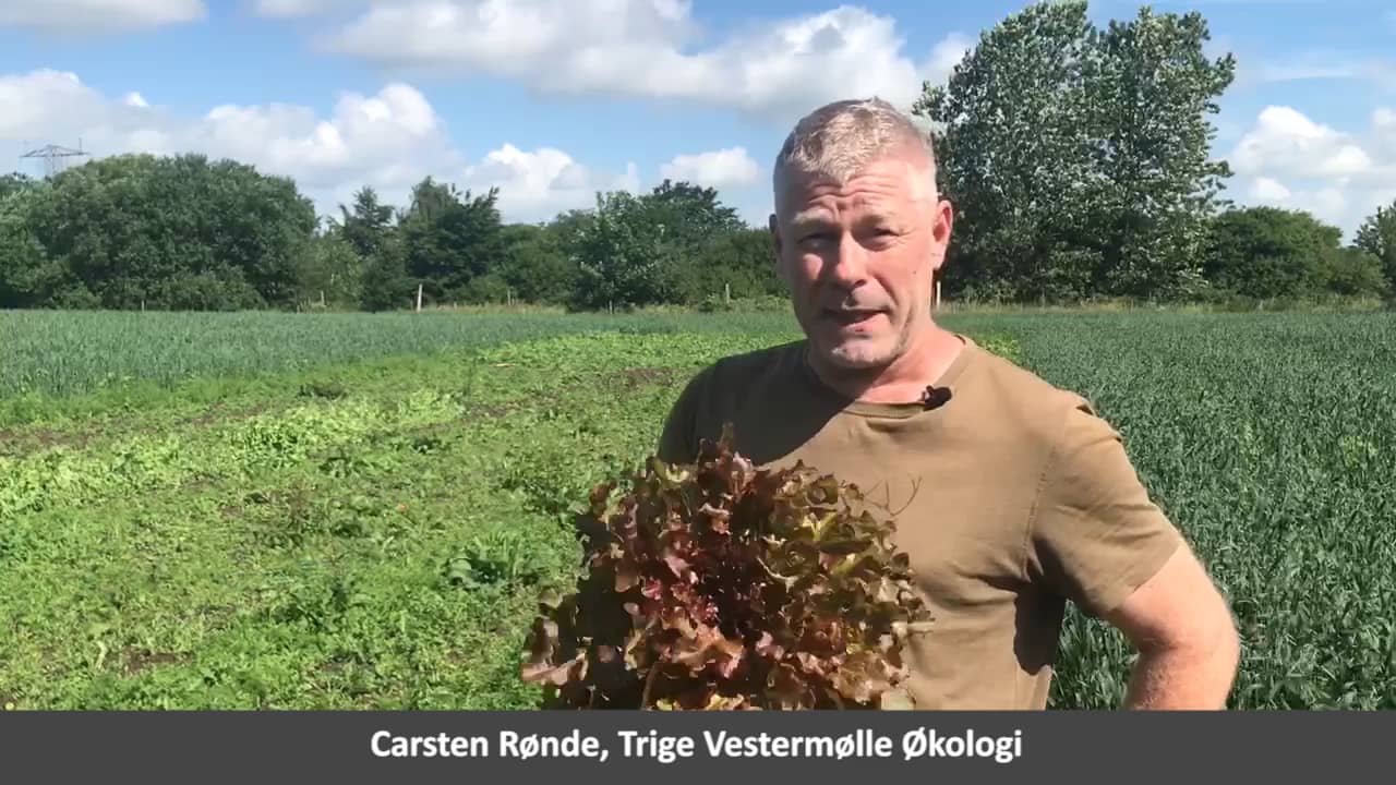 Carsten Rønde.mp4 on Vimeo