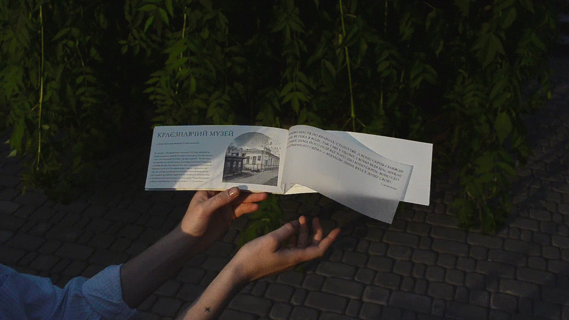 Excursion route · Visual identity on Vimeo