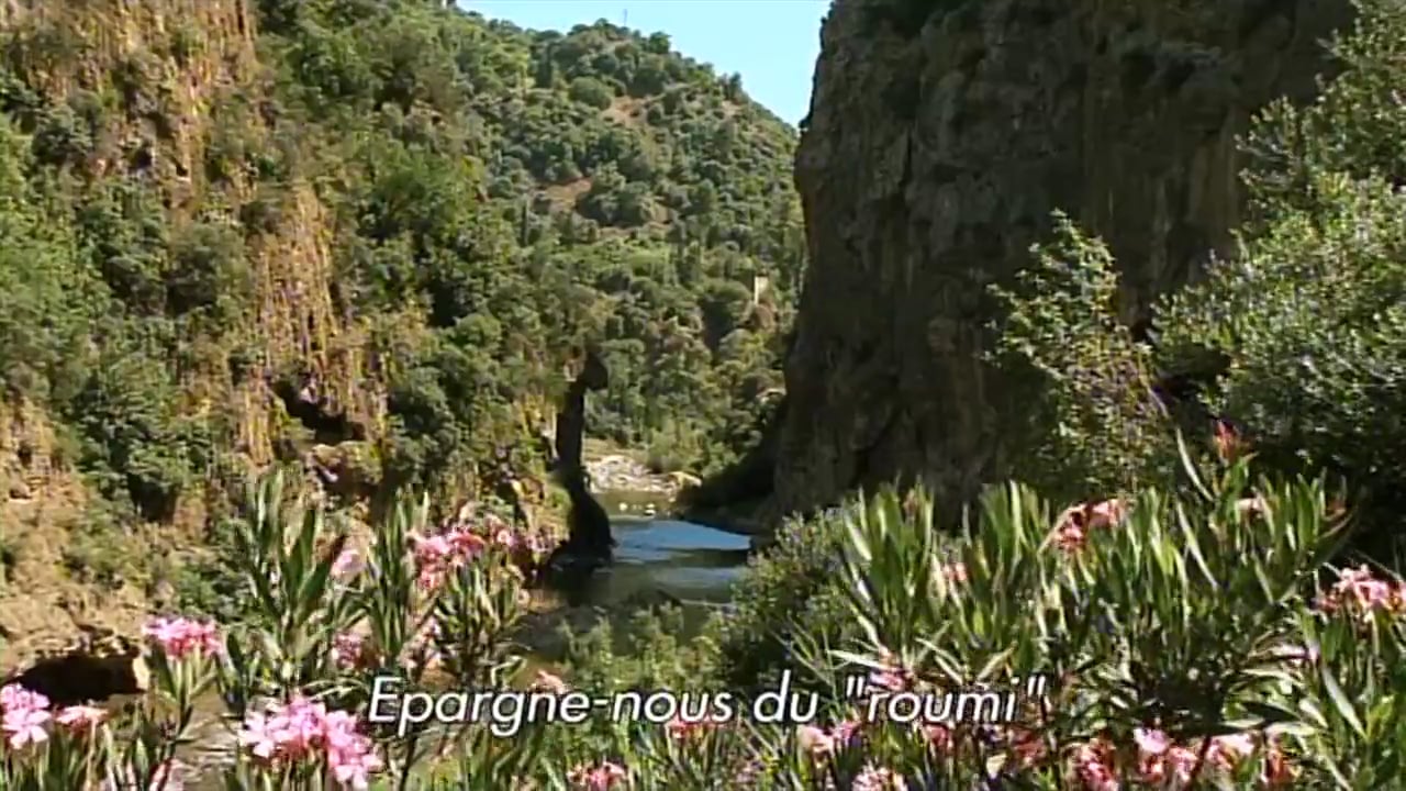 Watch PALESTRO, ALGÉRIE : HISTOIRES D’UNE EMBUSCADE Online | Vimeo On ...