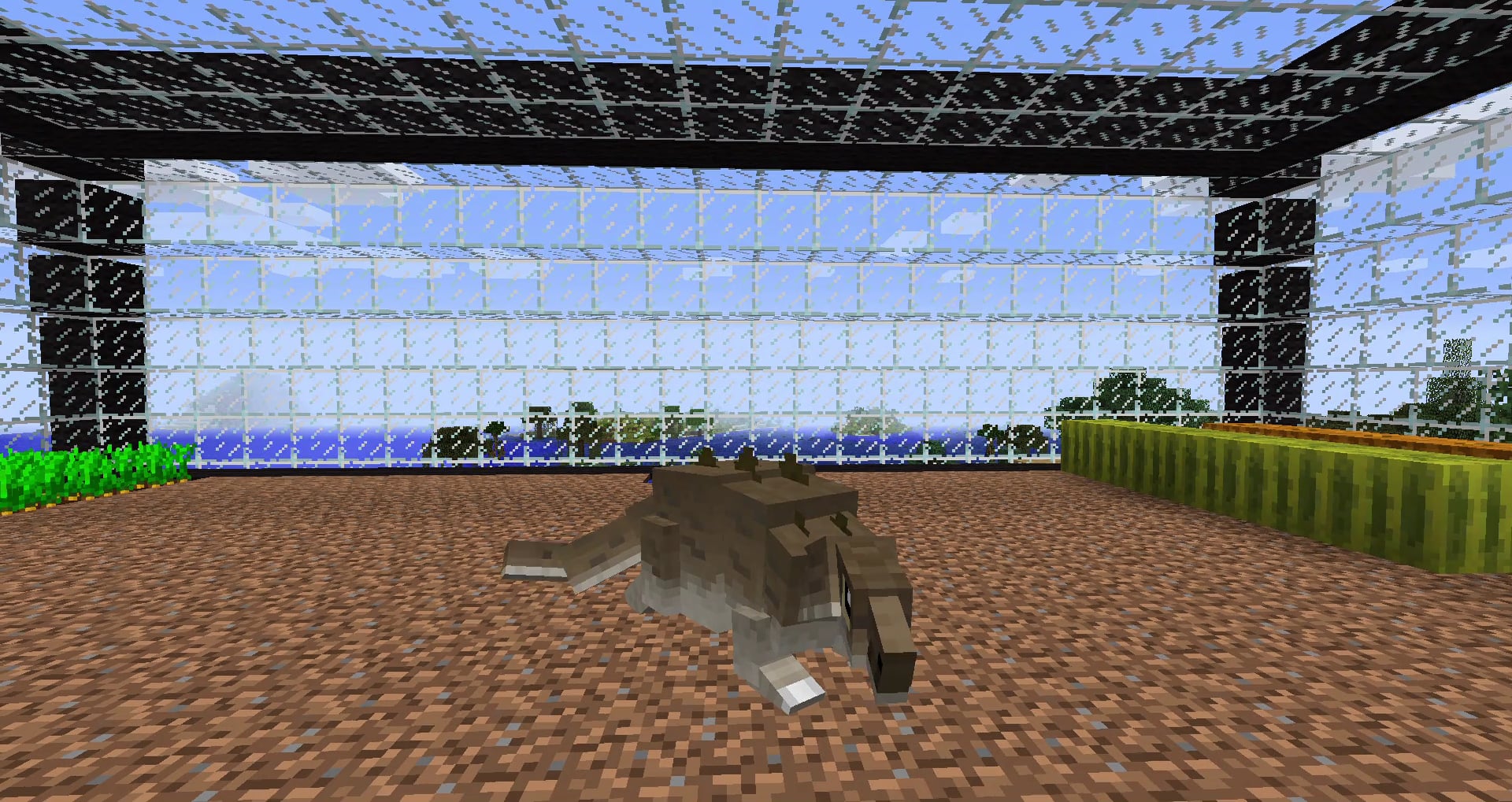 Minecraft: How to shapeshift in minecraft!!! on Vimeo