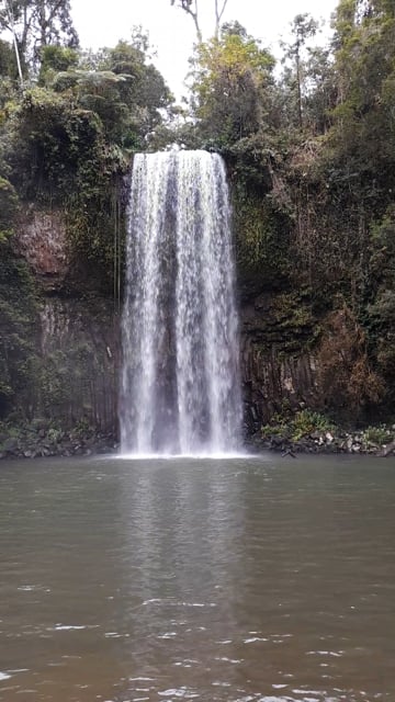 Waterfall, Queensland, Australia. Free Stock Video - Pixabay