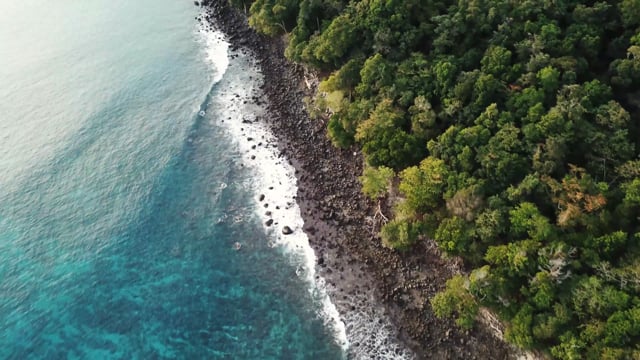 Mar Oceano Praia - Free video on Pixabay - Pixabay