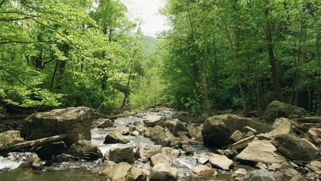 Río Rocas Árboles - Free video on Pixabay - Pixabay