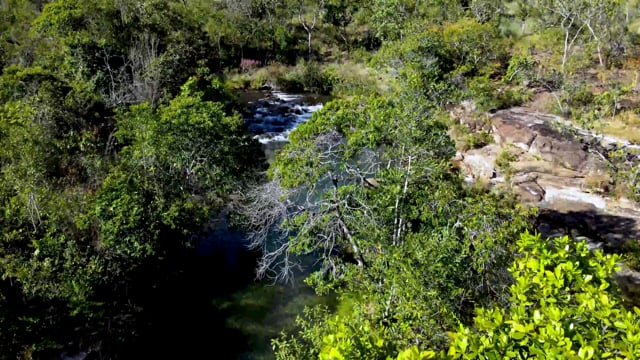 Cascade, Trees, Lake. Free Stock Video - Pixabay