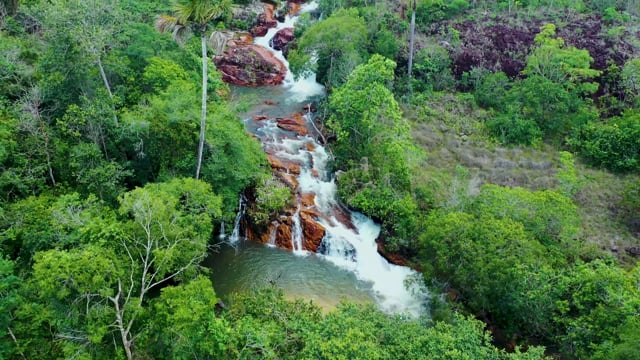 Waterfall Cascade Trees - Free video on Pixabay