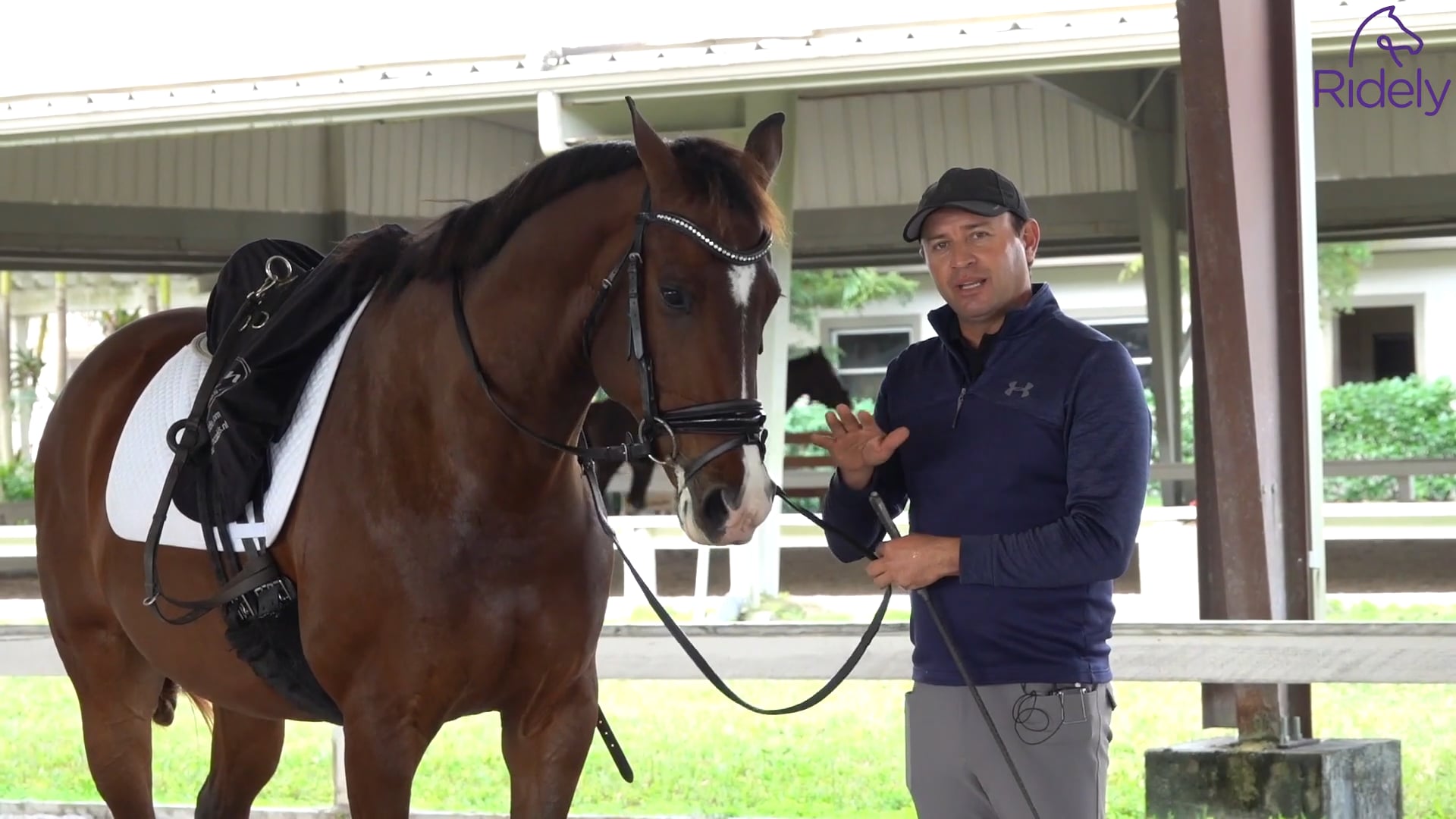 Half Steps In Hand (Part 2) | Ridely