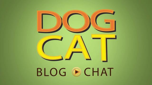 Dog Cat Blog Chat - Tricia Counting Lifts on Vimeo