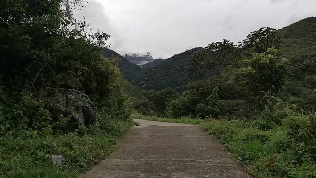 Field, Merida, Venezuela. Free Stock Video - Pixabay