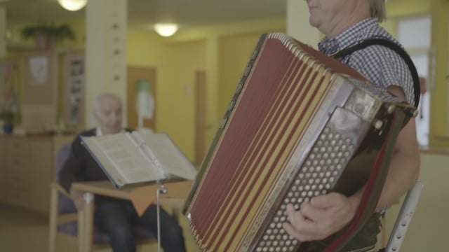 Accordion, Musical Instrument, Music. Free Stock Video - Pixabay