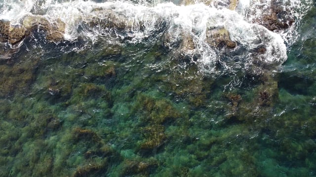 Beach, Waves, Rocks. Free Stock Video - Pixabay