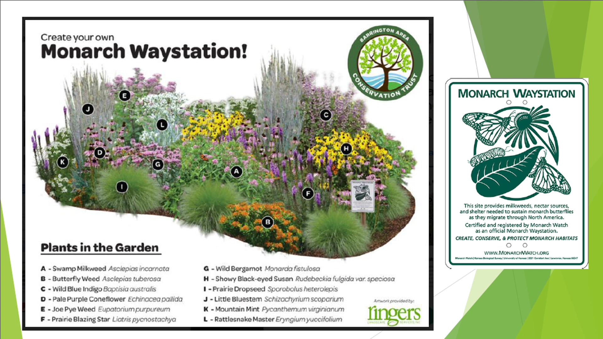 Web site monarch slides.mov on Vimeo