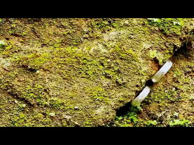 Eugene and Karrene SDE on Vimeo