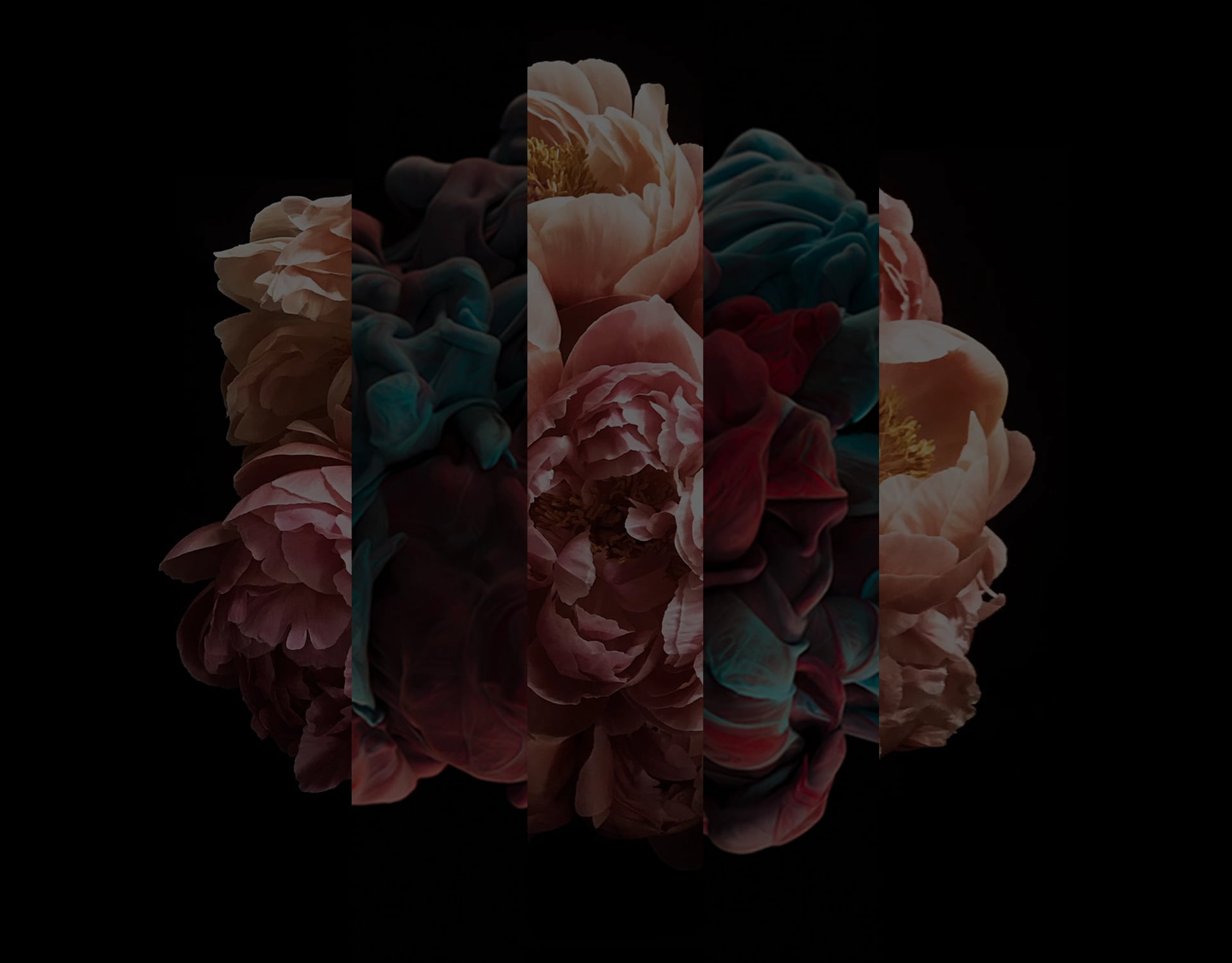 Flower and logo animation.webm on Vimeo