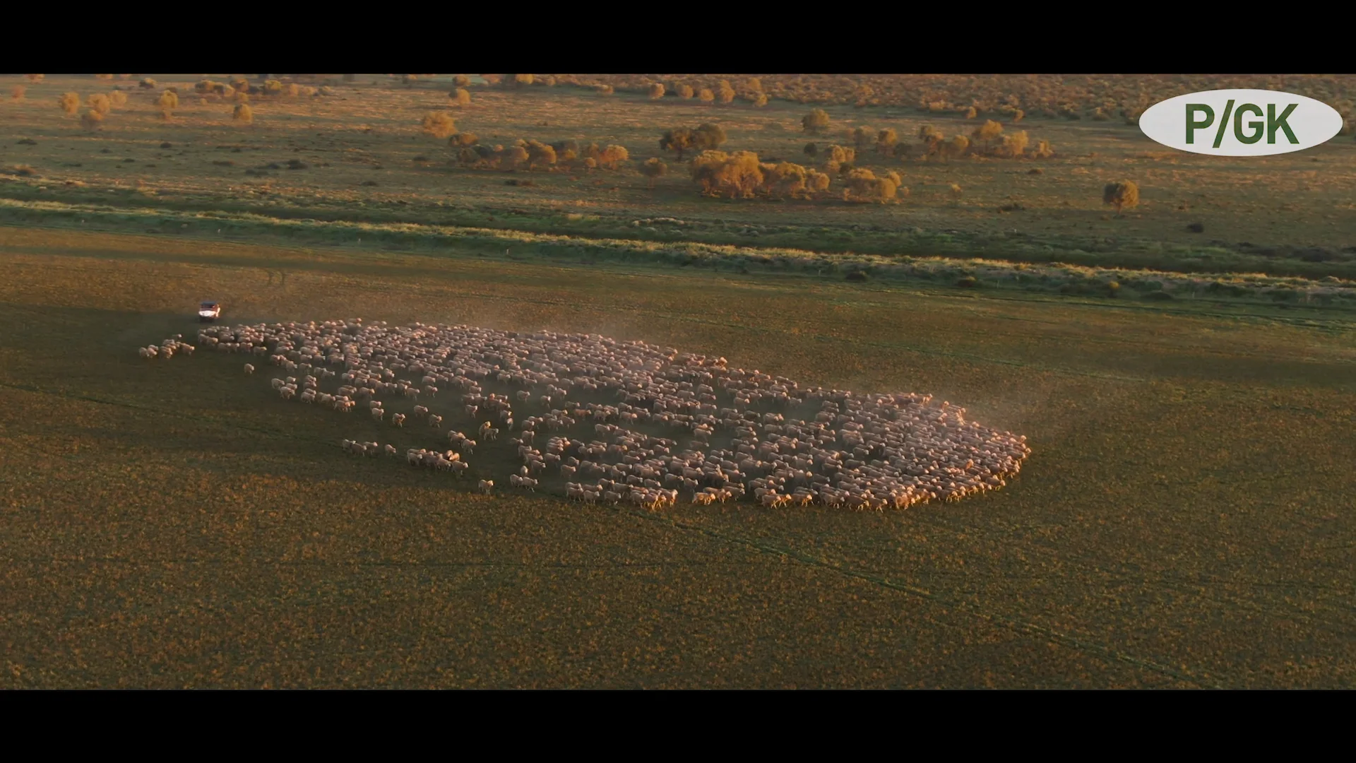 POOGINOOK OVERVIEW on Vimeo