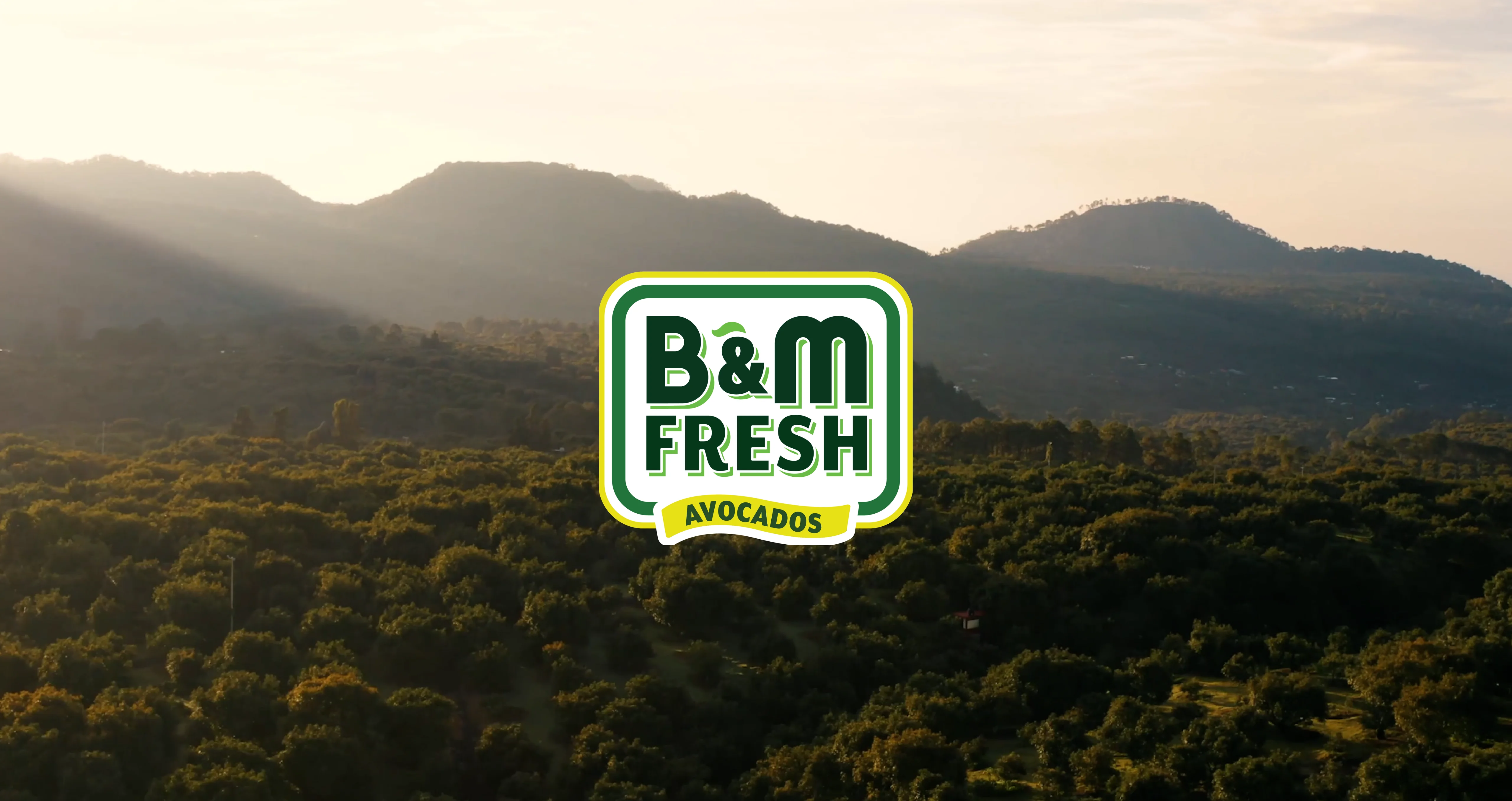 B&M Fresh Avocados