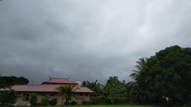 Windy Day, Strong Wind, Nature. Free Stock Video - Pixabay