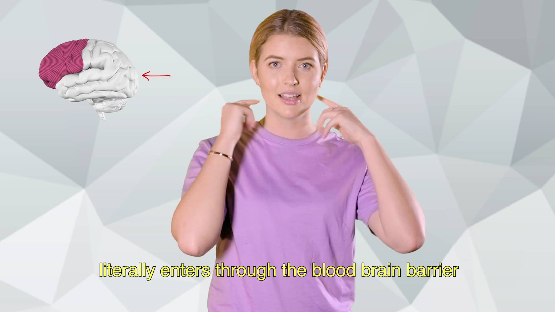 The Brain - 2 on Vimeo