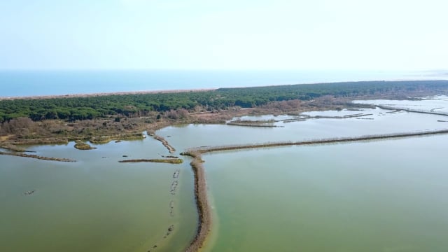 Lagoon River Sky - Free video on Pixabay