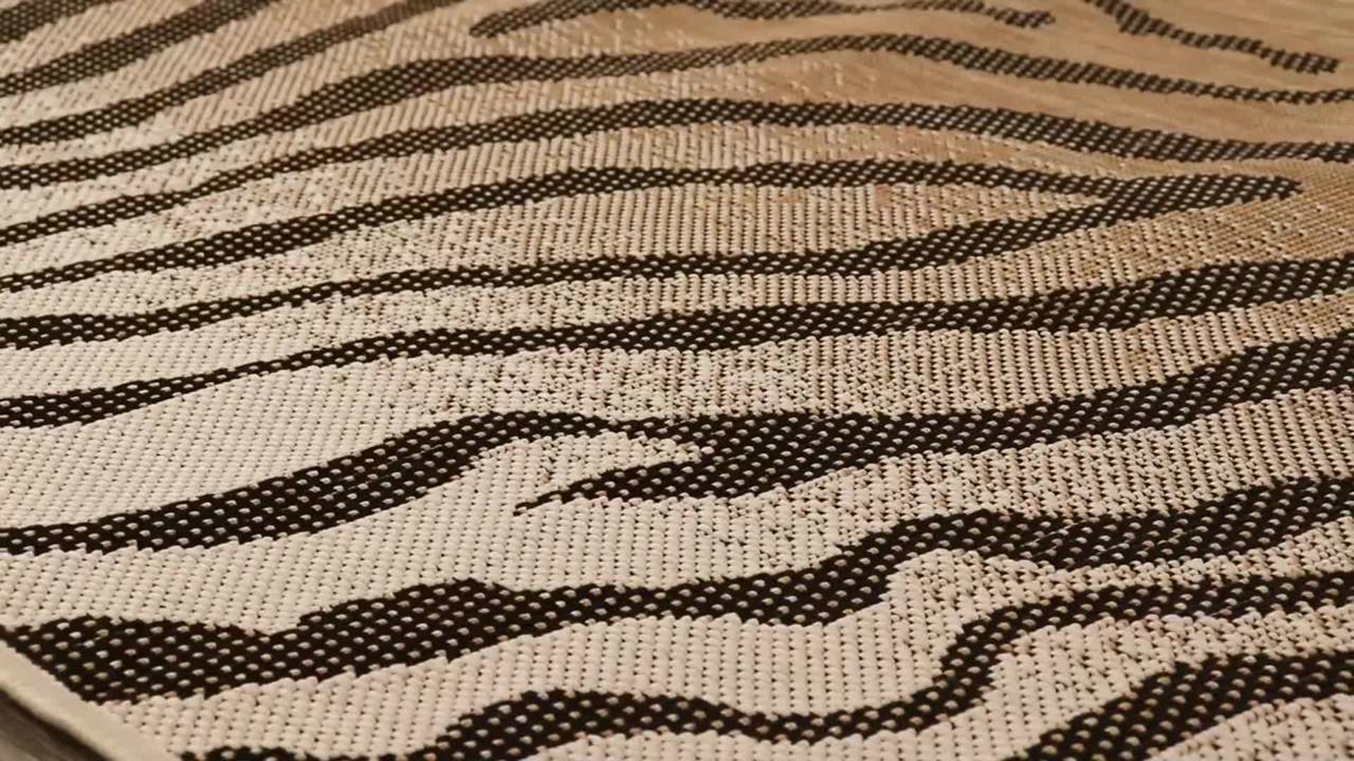 Carmel Zebra Indoor/Outdoor Rug Sand, 6'6"x9'3" - Contemporary ...